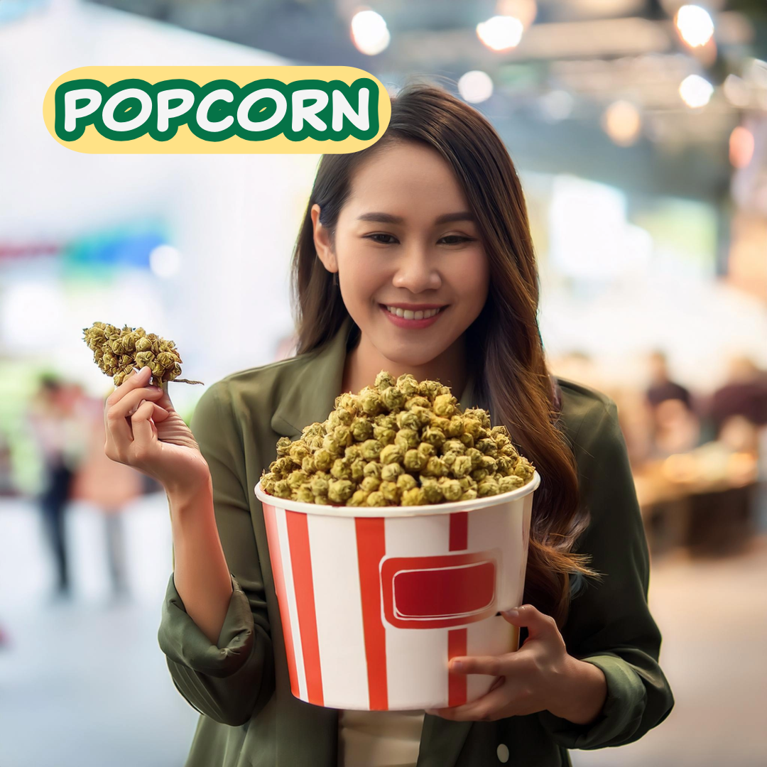 Popcorn – Sell My Canna Harvest